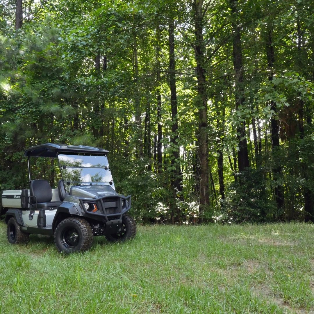 Seamless Event Transportation: 4 Keys to Effective Golf Cart Rentals ...